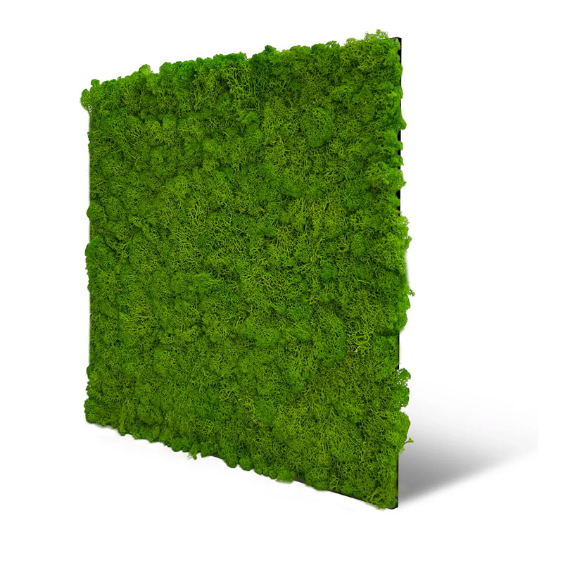 Jangal Wandpaneele Modular Wall 11102 Mooswand Bright Green Moos 520 x ...