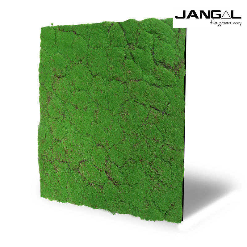 Jangal Wandpaneele Modular Wall 11108 Mooswand Forest Green Moos 520 x ...